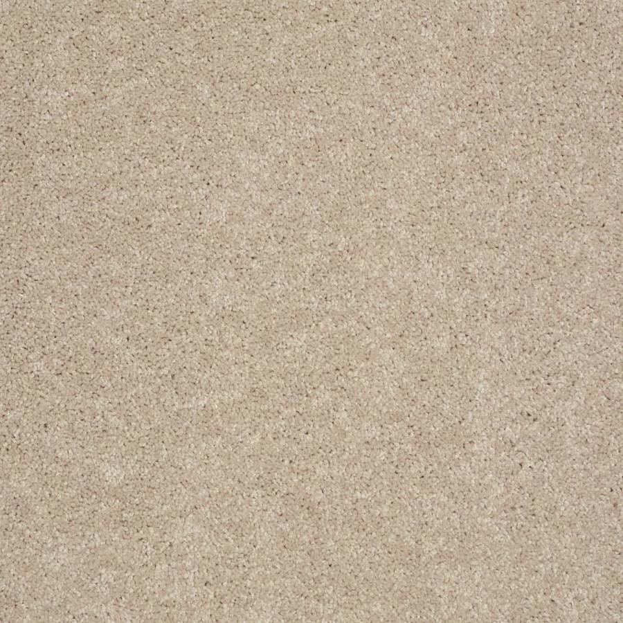 Shaw Latimer 12 Ft Alabaster Carpet Sample at Lowes.com