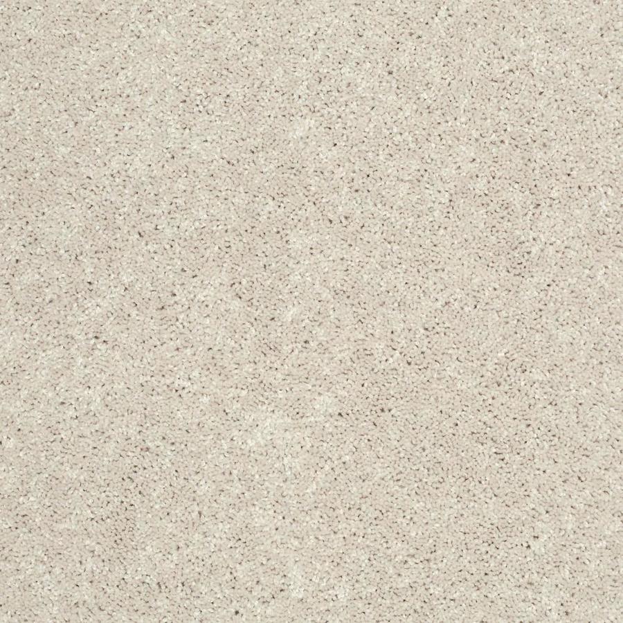Shaw Latimer 12 Ft Angel Feather Carpet Sample at Lowes.com