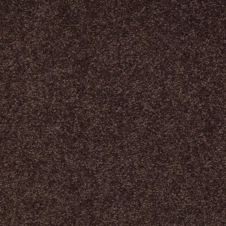 Shaw Perkinson I 12 Ft Dark Chocolate Carpet Sample at Lowes.com