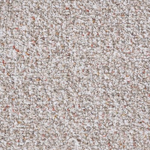 Shaw Wide Width Wheeler Pebble Path Carpet Sample at Lowes.com