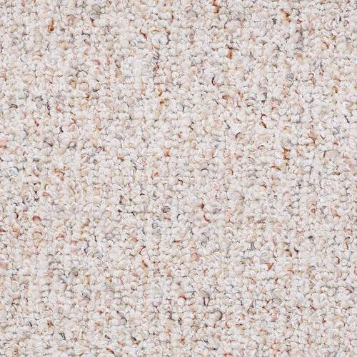 Shaw Wide Width Wheeler Clam Shell Carpet Sample at Lowes.com
