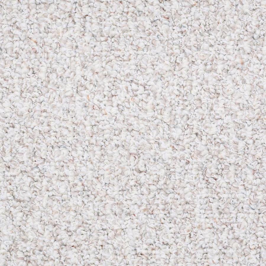 Shaw Wide Width Wheeler Calm Ivory Carpet Sample at Lowes.com