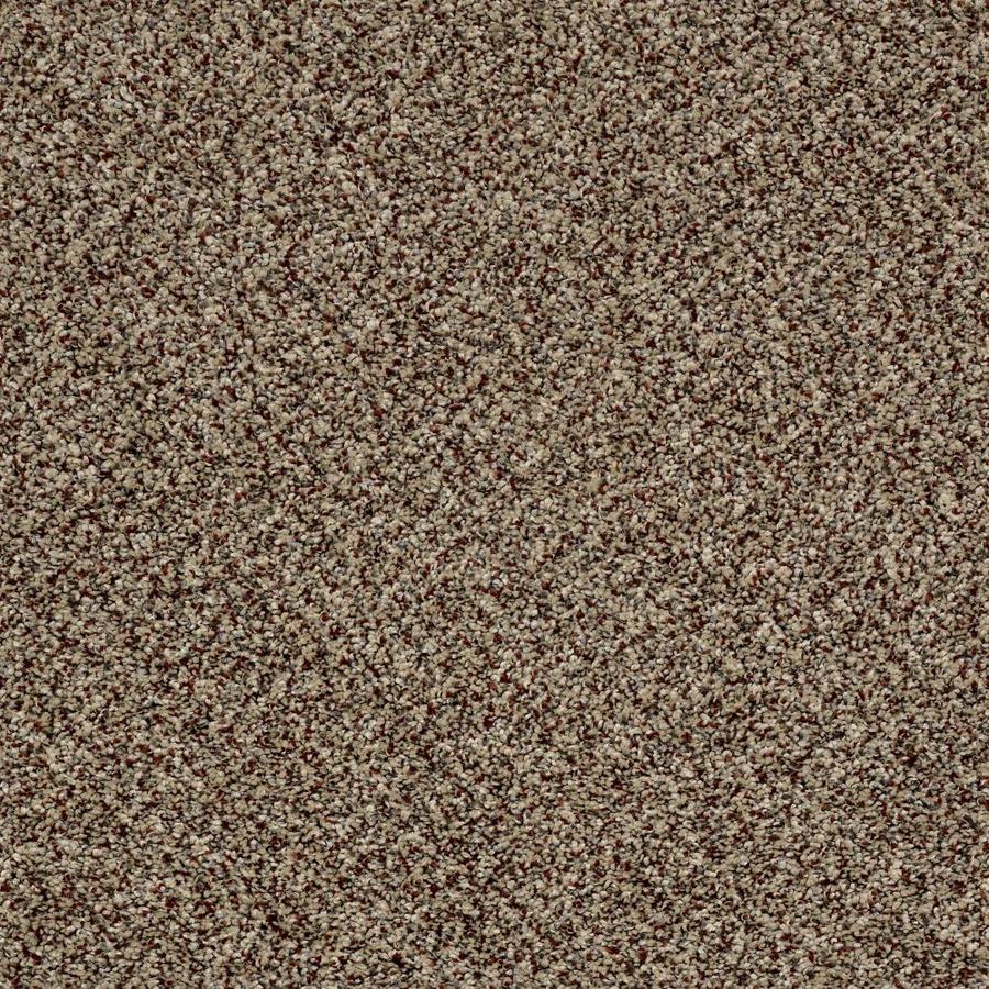 Shaw Statuette II 12 ft- Worn Path Worn Path Carpet Sample at Lowes.com