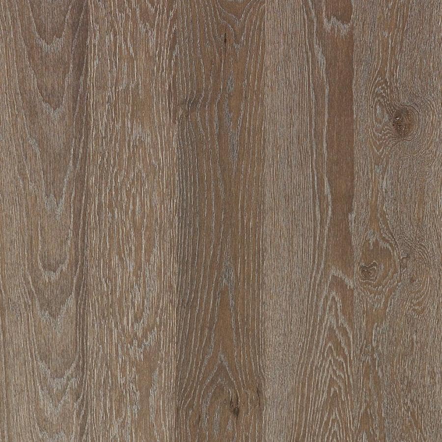 Shaw Oak Hardwood Flooring Sample (Bell Tower) at Lowes.com