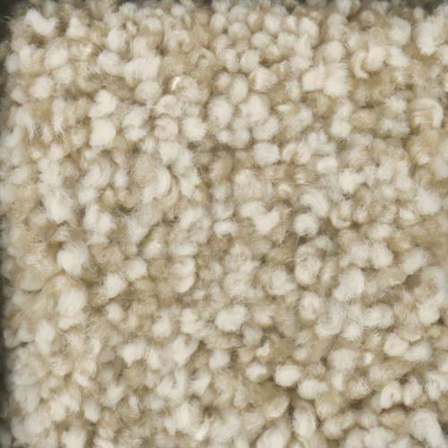 STAINMASTER Signature Dynamic Beauty 1 Cameo Glow Textured Carpet ...