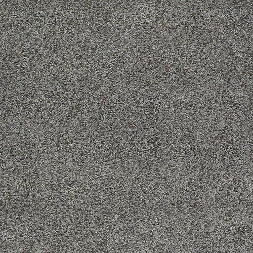 STAINMASTER Signature Advanced Beauty I Echo Carpet Sample at Lowes.com