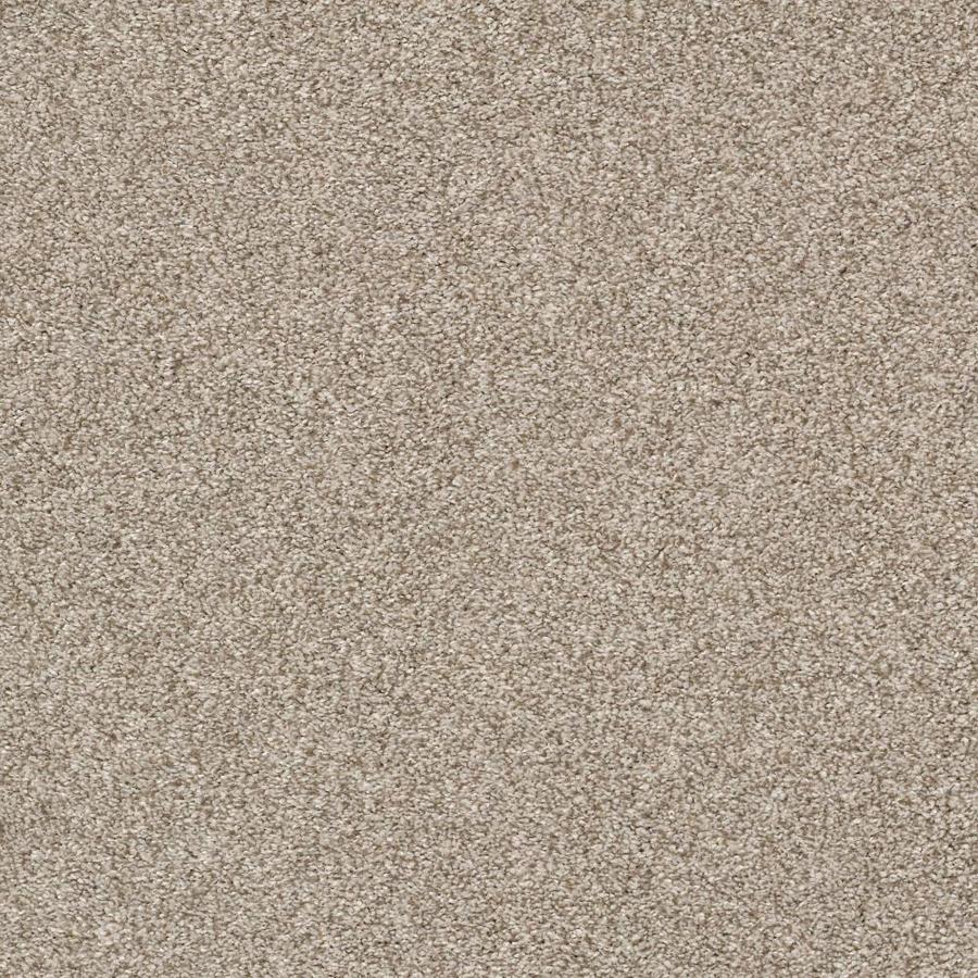 STAINMASTER Essentials Splash Guard I Toast Textured Carpet (Indoor) in ...