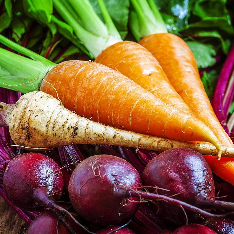 Gardens Alive! Gurney's 6-Count Root Vegetable Lover's Garden Seed ...