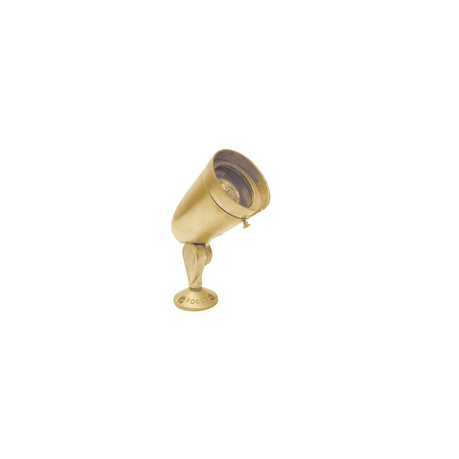 Focus Industries Brass Acid Verde Low-Voltage Halogen Spotlights at ...