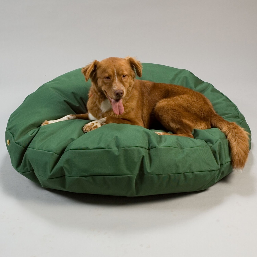 Snoozer undefined at Lowes.com