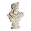 Design Toscano Apollo Belvedere Bust 32.5-in Garden Statue at Lowes.com