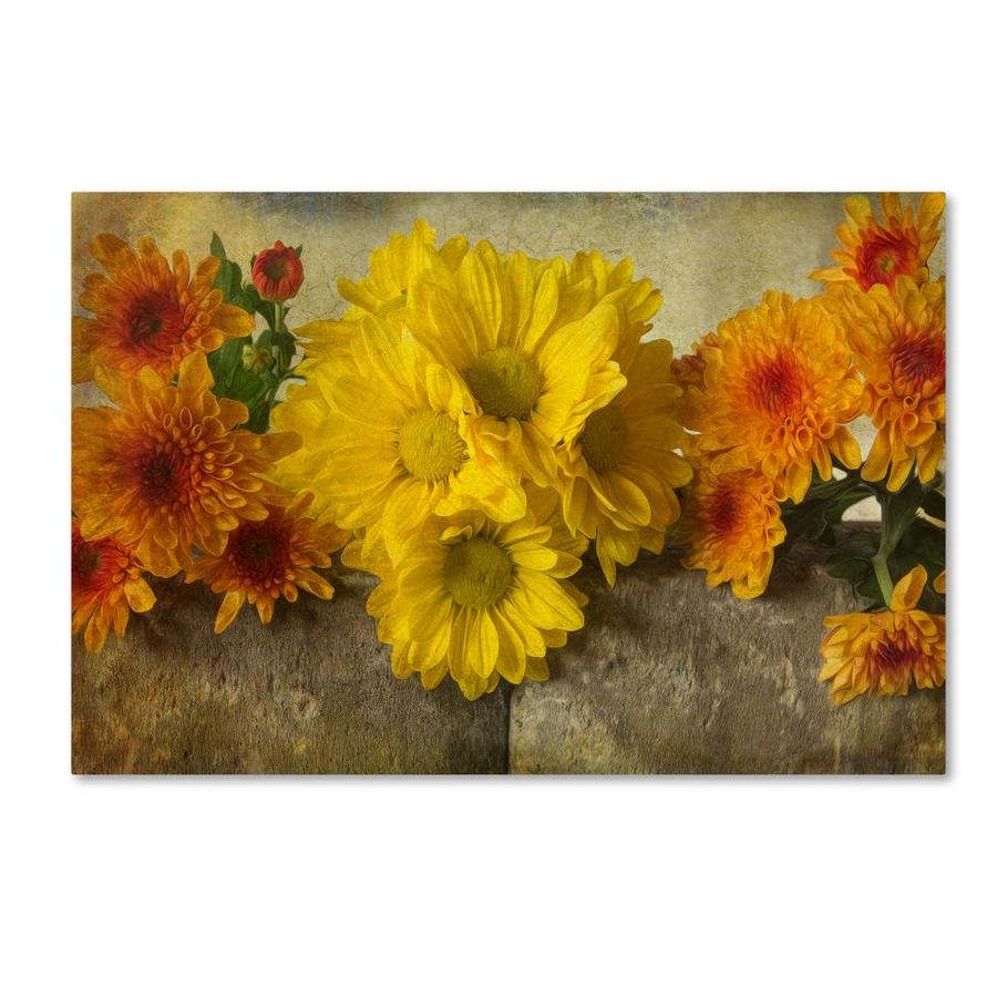 Trademark Fine Art Bob Rouse "Mums in a Row" 16x24 Canvas Art in the ...