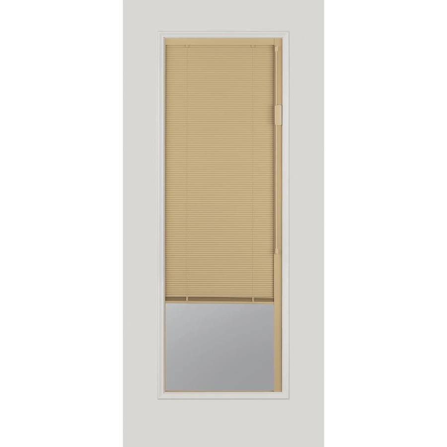 ODL Blinds between glass 22-in x 64-in Clear Front Door Glass Inserts ...