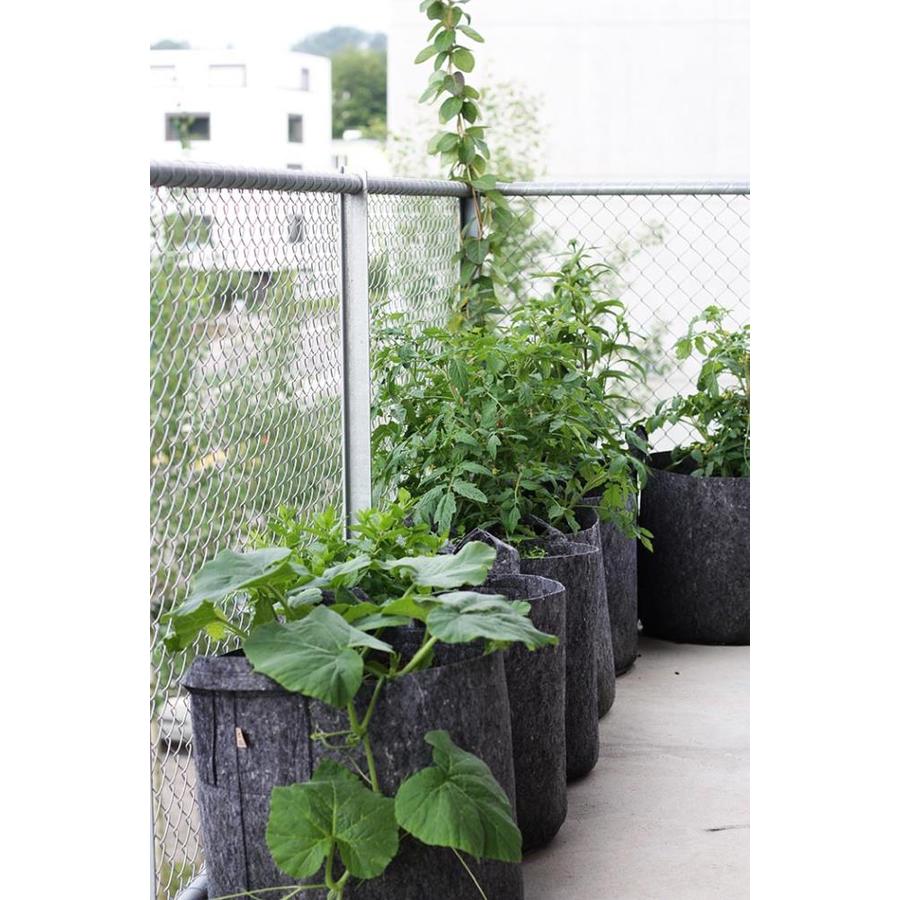 ROOT POUCH 5-Pack 16-in W x 12-in H No. 10 container with handles 5 ...