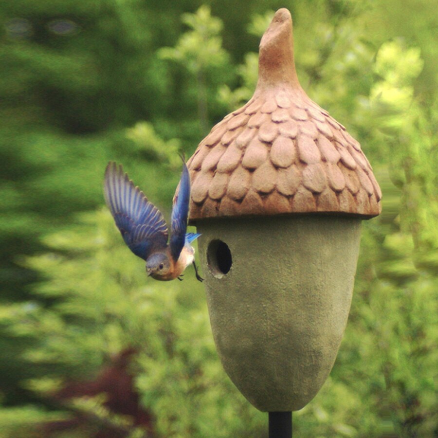 Acorn Bird Products 17-in H x 9-in W x 9-in D Green Bird House in the ...