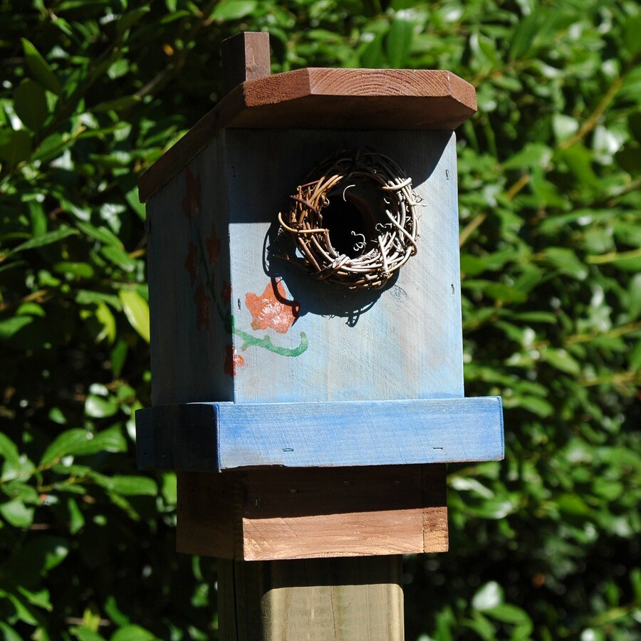 Wilderness Series Products 9-in W x 10-in H x 7-in D Blue/Rust Bird ...