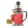 Ninja 48-oz Gray 1-Speed 400-Watt Pulse Control Blender at Lowes.com