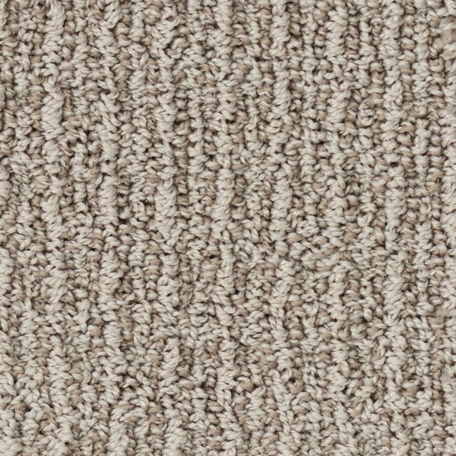 STAINMASTER Essentials Forbidden City Majestic Summer Multi-level Loop Carpet Sample (Interior ...