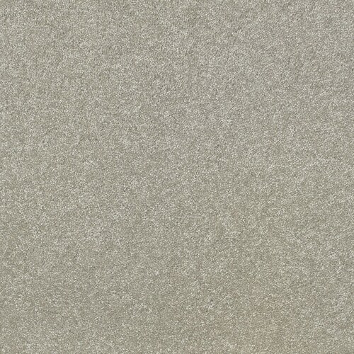 Environmental Choice Raindrop Textured Indoor Carpet at Lowes.com