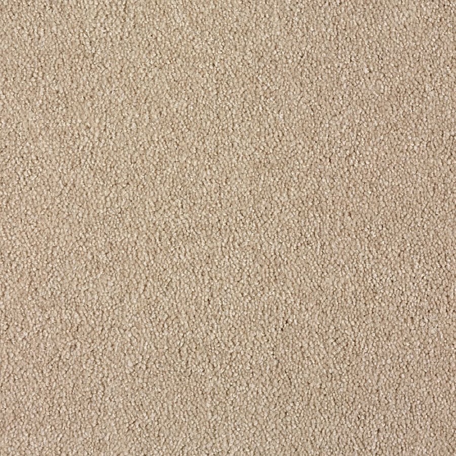 Green Living Pueblo Carpet at Lowes.com