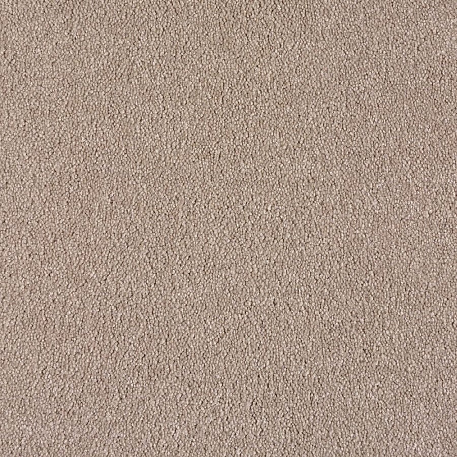 Green Living Dried Apple Carpet at Lowes.com