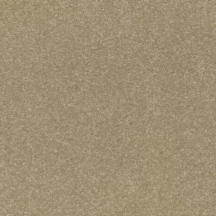 Green Living Sprout Carpet in the Shower Doors department at Lowes.com