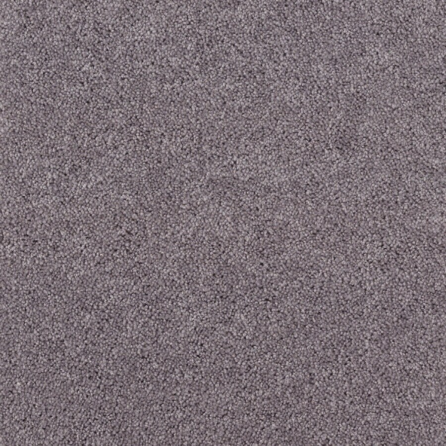 Green Living Iron Carpet at Lowes.com