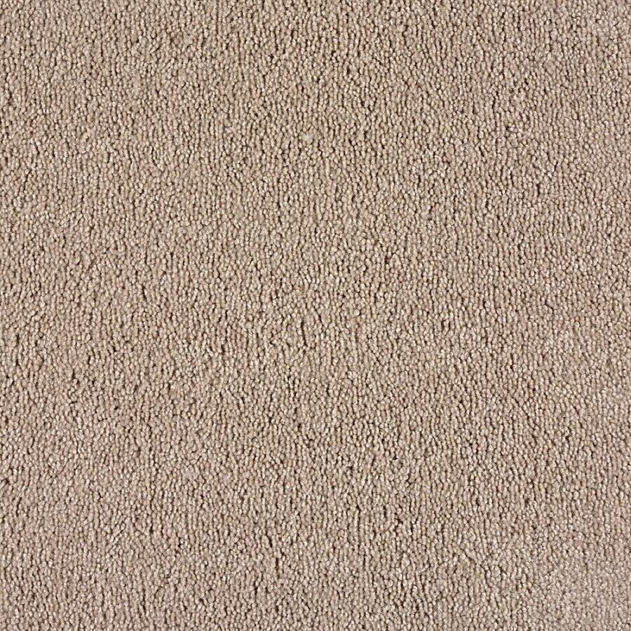 Green Living Tantalizing Tan Textured Indoor Carpet at Lowes.com