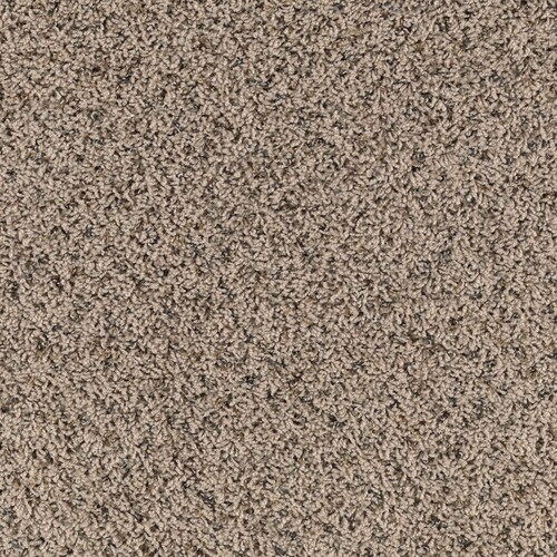 SmartStrand Smart Styles Solid Berber Indoor Carpet at Lowes.com