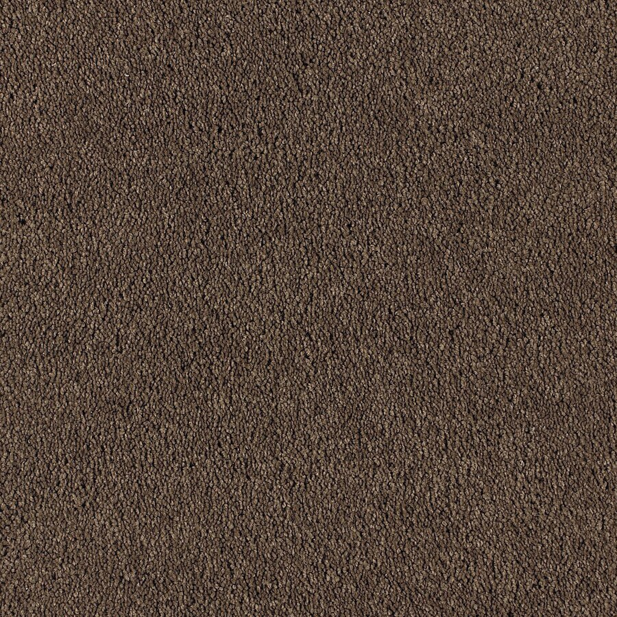 SmartStrand Smart Styles Solid Carpet in the Carpet department at Lowes.com
