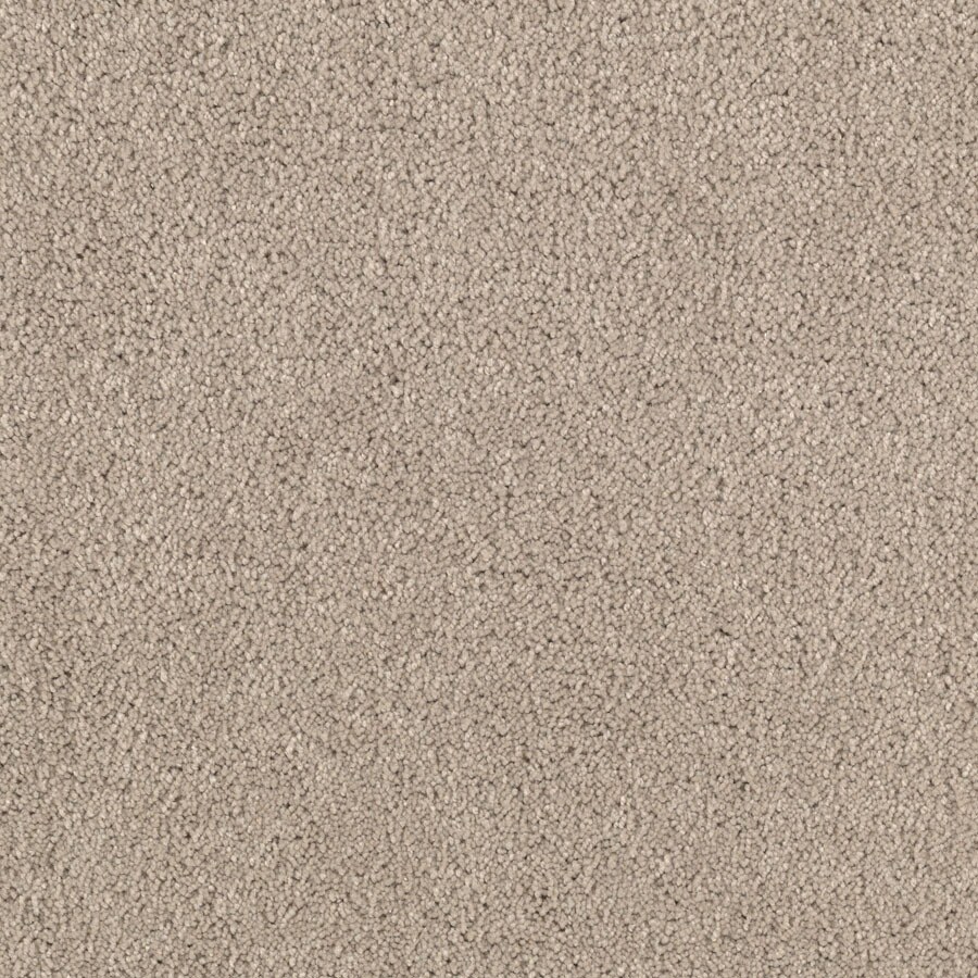 Green Living Solid Carpet at Lowes.com