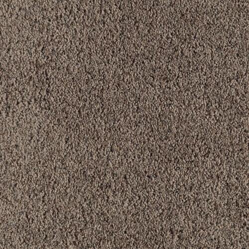 Feature Buy 12-ft W x Cut-to-Length Mocha Lite Textured Interior Carpet ...