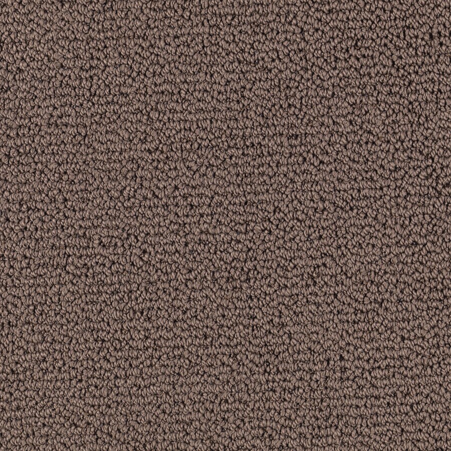 SmartStrand Sorona Ganache Carpet at Lowes.com