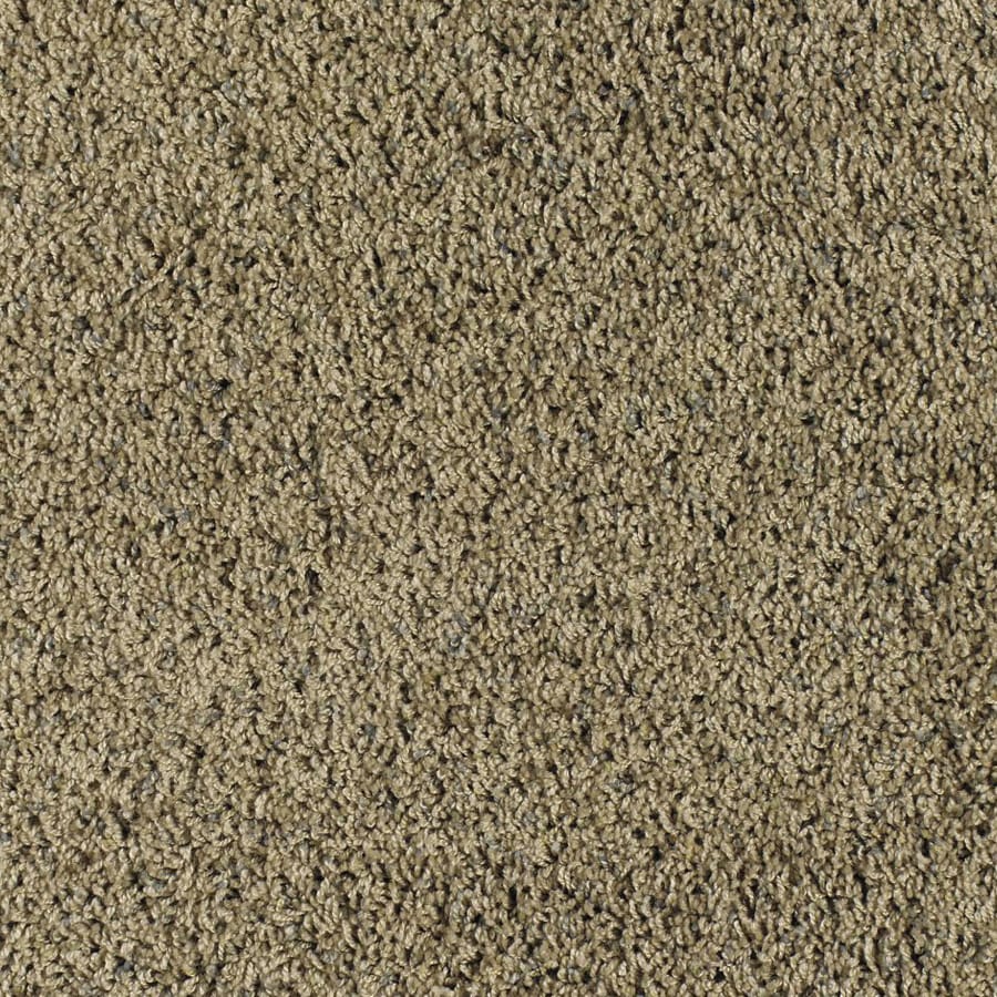 SmartStrand Sorona Thatched Roof Carpet at Lowes.com