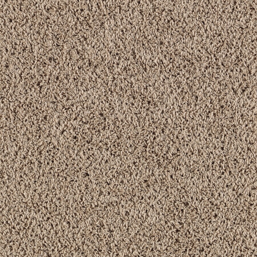 SmartStrand Sorona Crushed Shells Carpet at Lowes.com