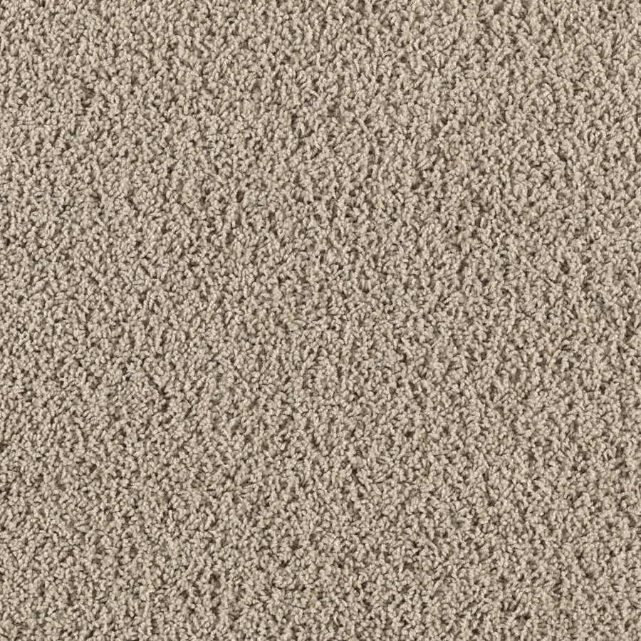 SmartStrand Sorona Reed Carpet at Lowes.com