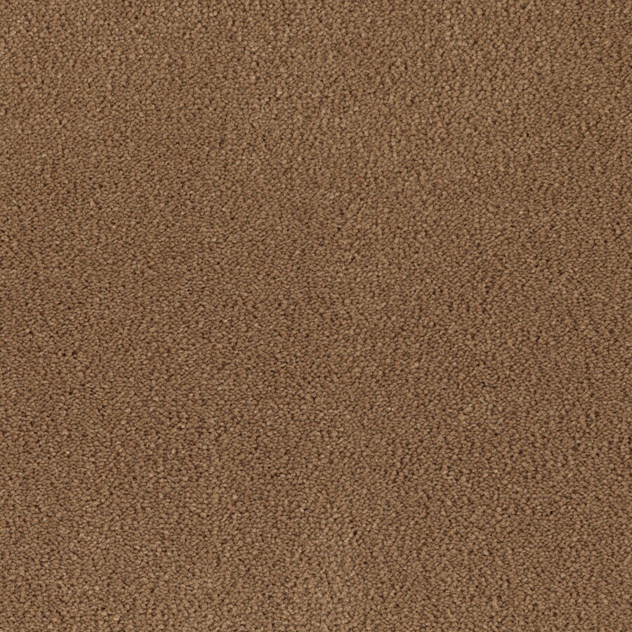 SmartStrand Sorona Fired Clay Carpet at Lowes.com