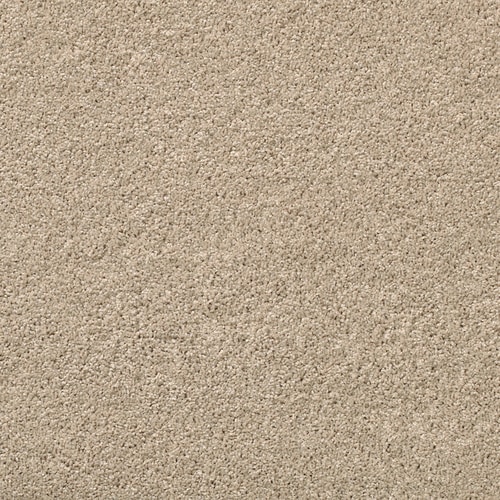 SmartStrand Charming Spirit Wet Sand Textured Indoor Carpet at Lowes.com