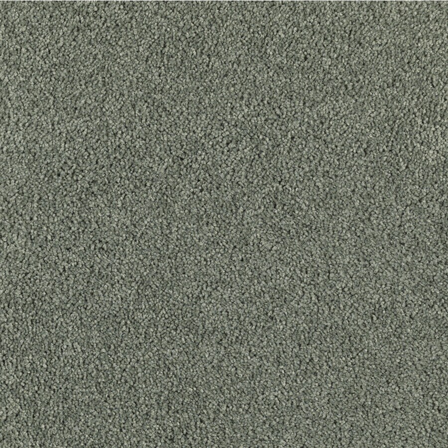 SmartStrand Sorona Palm Carpet at Lowes.com