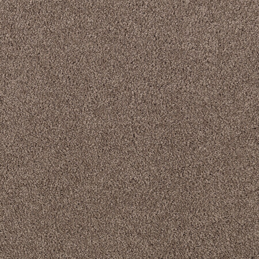 SmartStrand Sorona Italian Suede Carpet at Lowes.com