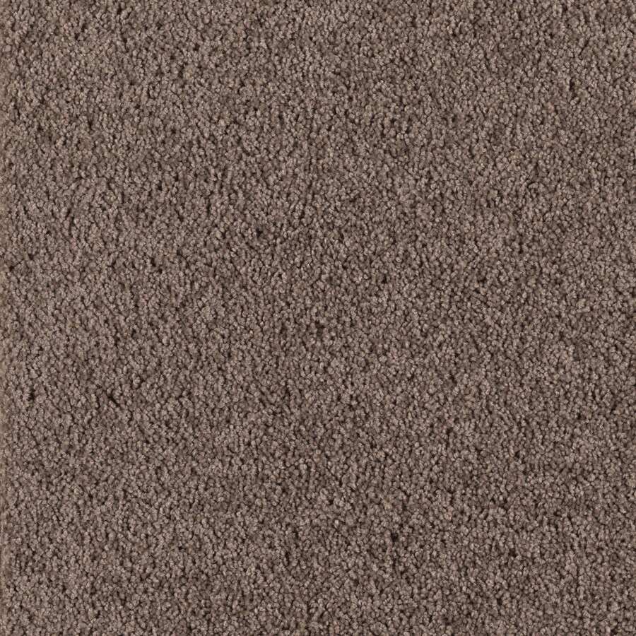 SmartStrand Lucky Star Rock Wall Textured Indoor Carpet at Lowes.com
