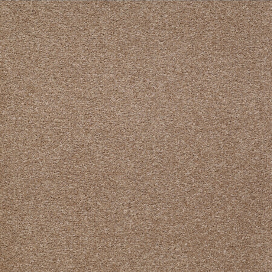 Simple Select Leather Suede Carpet at Lowes.com