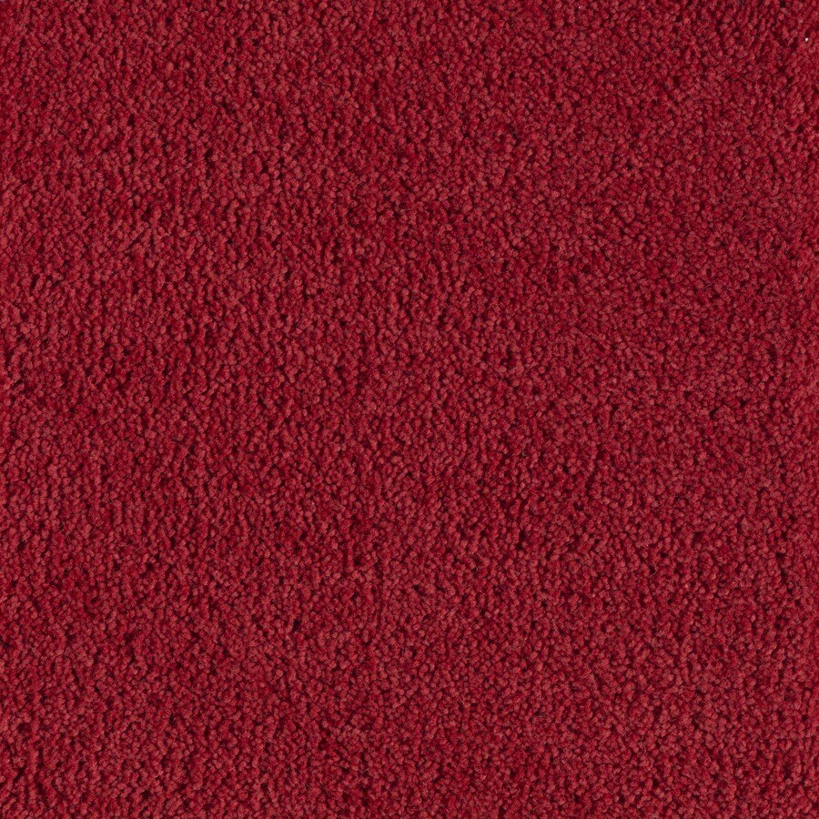 Simple Select Big Apple Carpet at Lowes.com