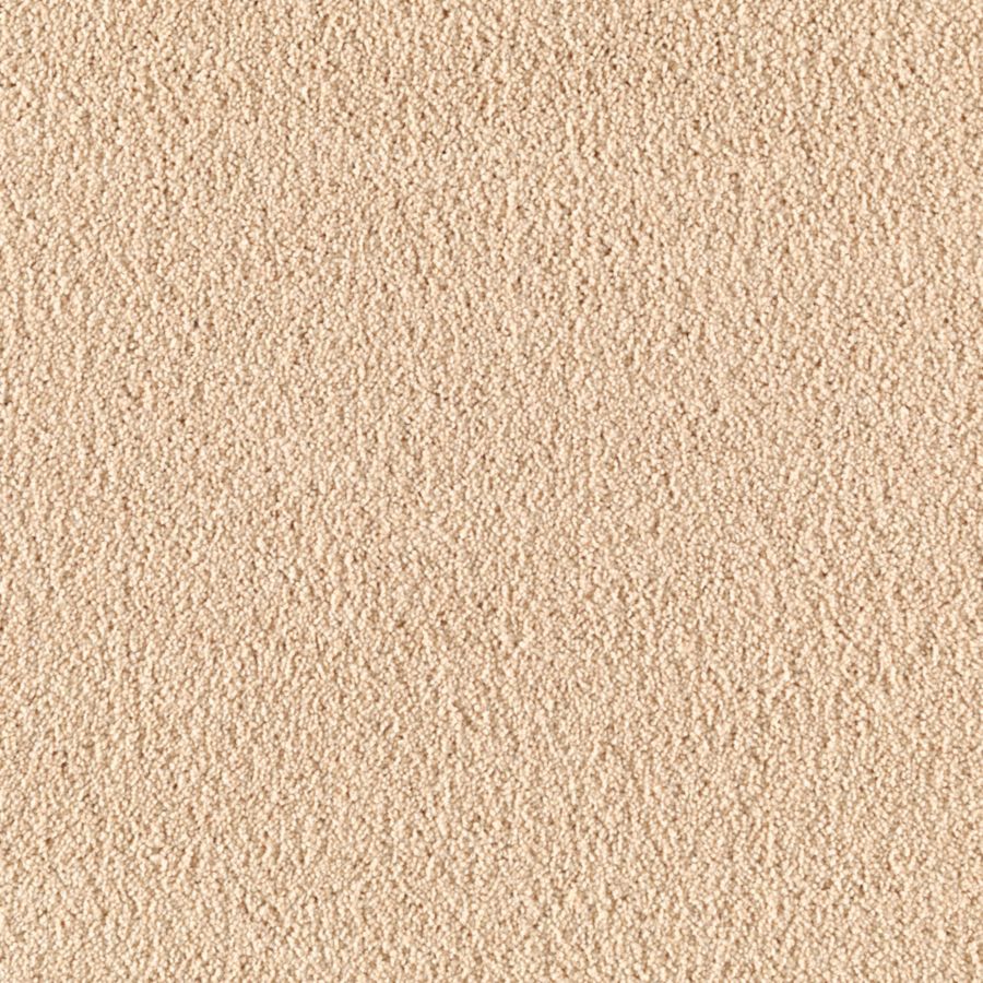 Mohawk Essentials Herron Bay Tropical Delight Carpet at Lowes.com