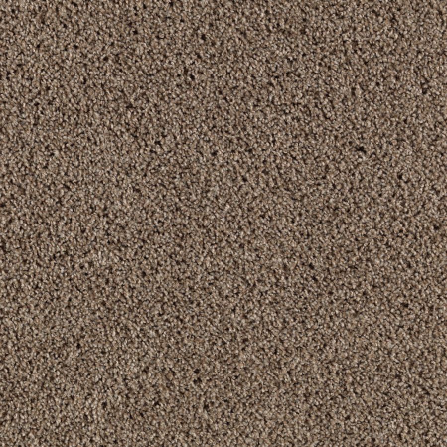 Mohawk Cornerstone Collection Timberline Carpet at Lowes.com