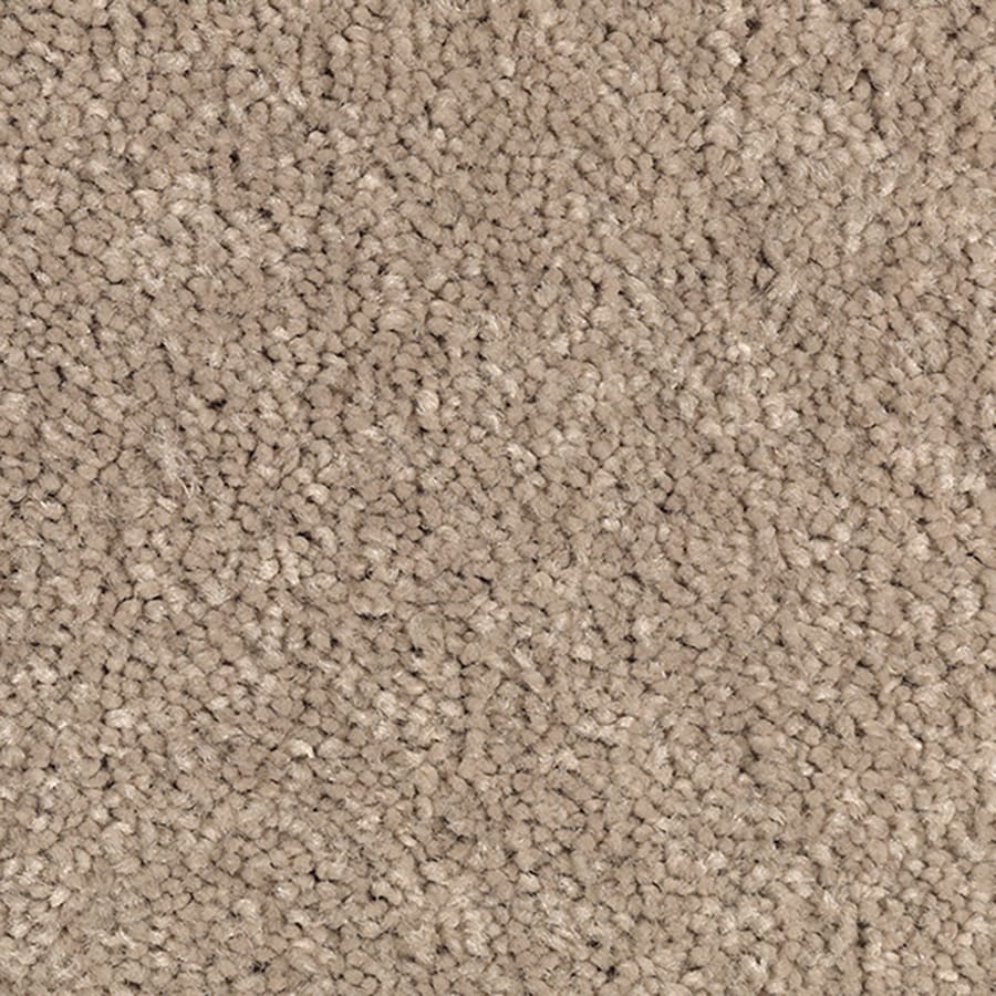 STAINMASTER Essentials Bold Selection II Avalon Beige Textured Carpet ...
