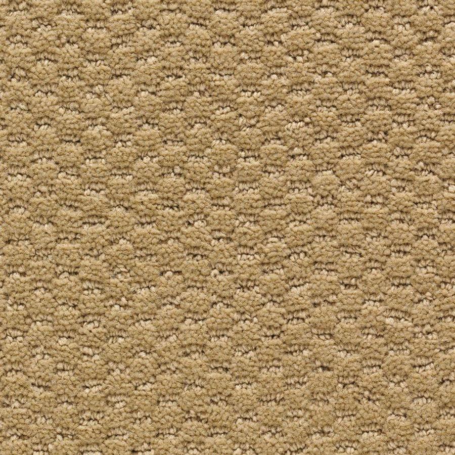 Home & Office Classy Style Buckskin Pattern Carpet (Indoor) in the ...