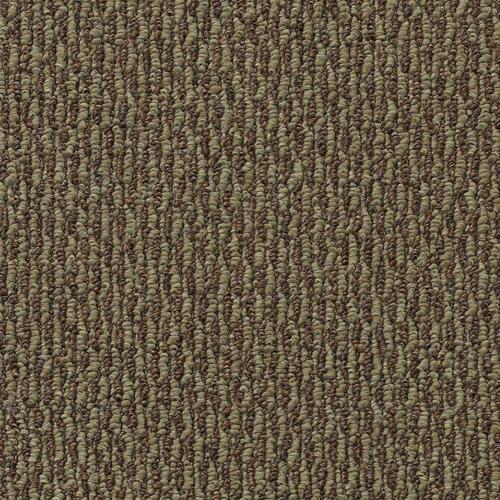 Mohawk Mohawk Durable Style Mossy Green Berber/Loop Carpet (Interior ...