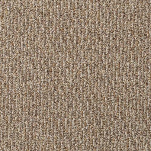 Mohawk Mohawk Durable Style Stone Berber/Loop Carpet (Indoor) in the ...
