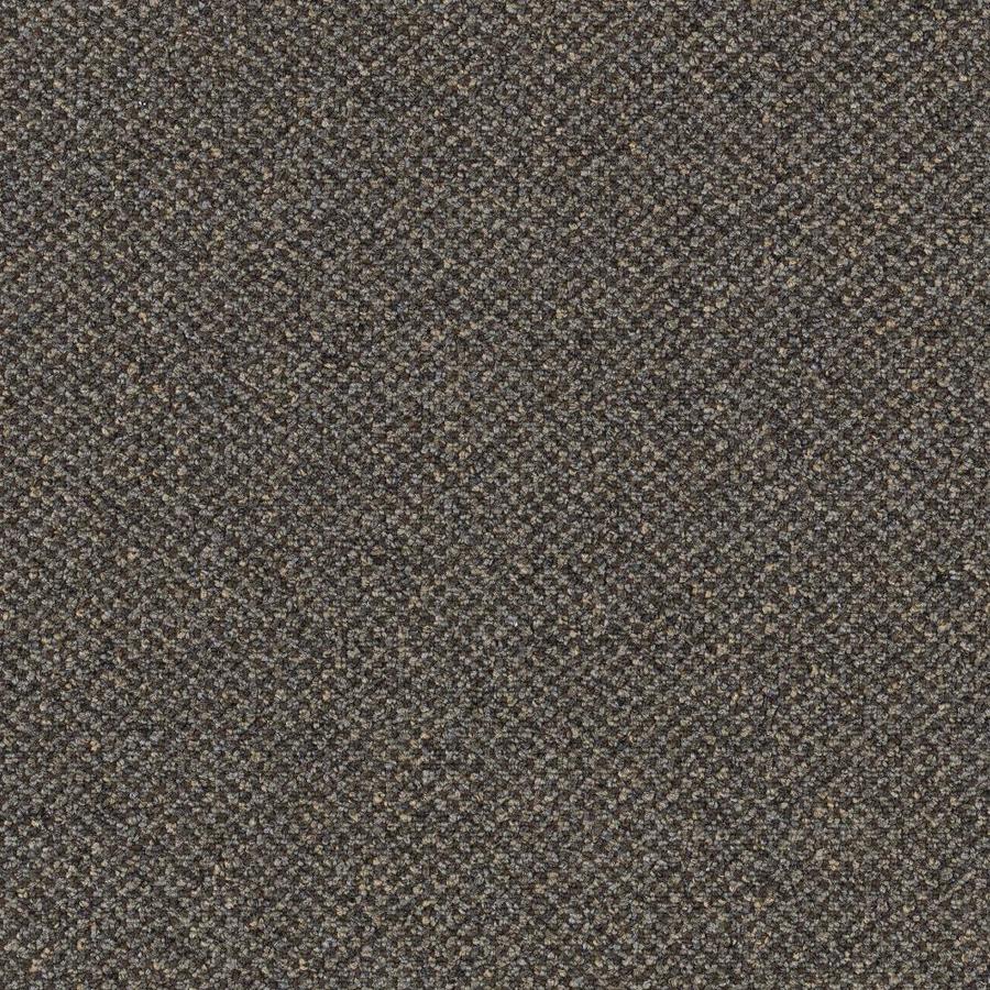 Mohawk OL SAMPL EXERC RM-WORLD CLASS at Lowes.com
